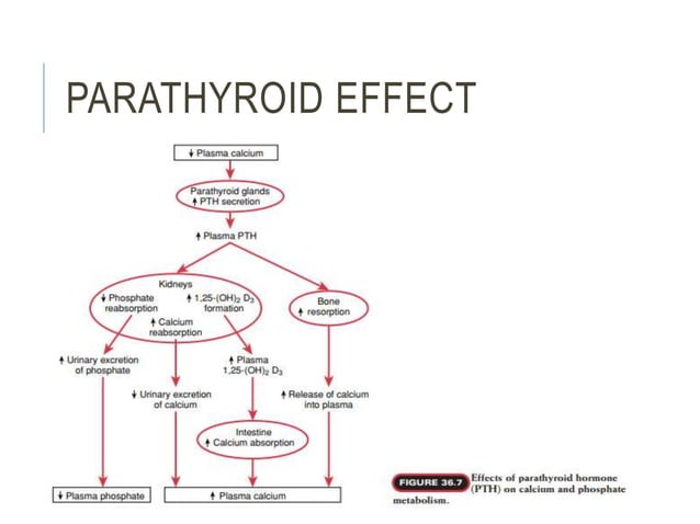 serumphosphate- mbbd ppt211101181641.pptx