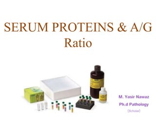 Serum protein analysis and ag ratio | PPTX
