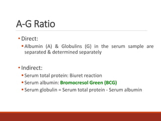 Serum Protein and Albumin-Globulin Ratio | PPTX | Blood Disorders ...