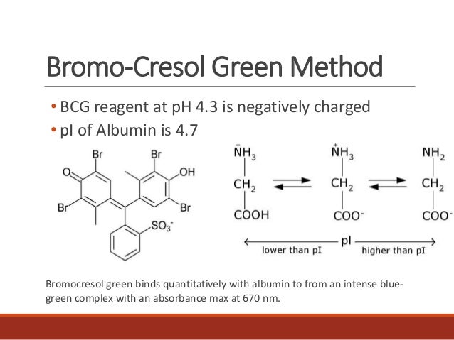 Serum Protein and Albumin-Globulin Ratio