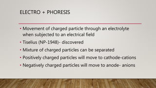 Serum protein electrophoresis | PPTX
