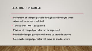 Agarose gel electrophoresis and interpretation | PPTX