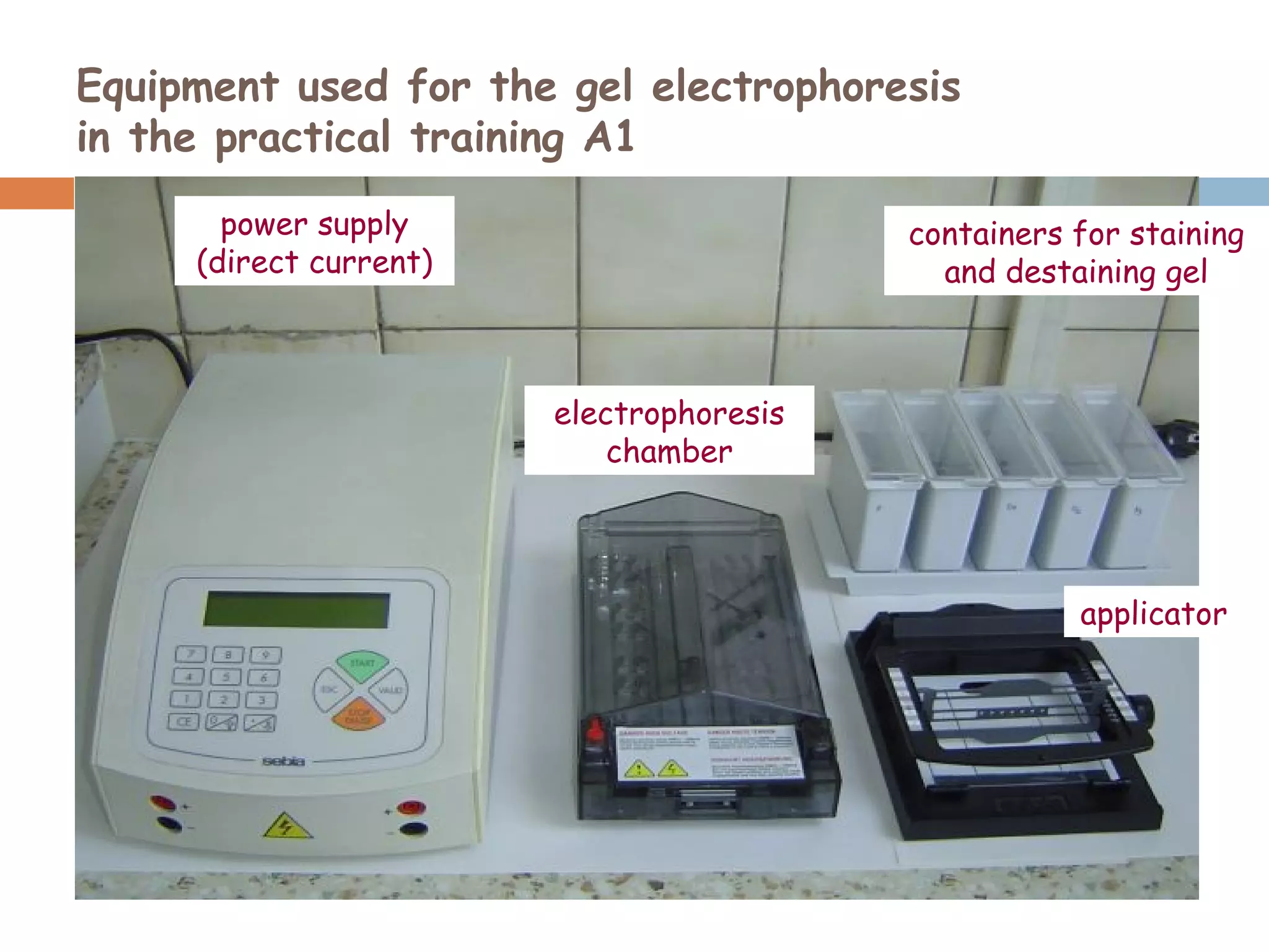 Serum protein electrophpresis | PPT