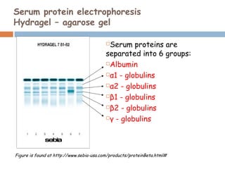 Serum protein electrophpresis | PPT