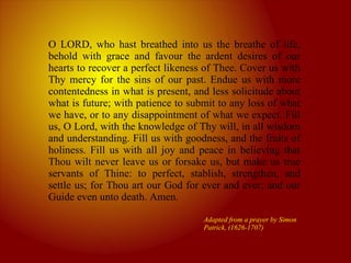 Servant Of God | ODP