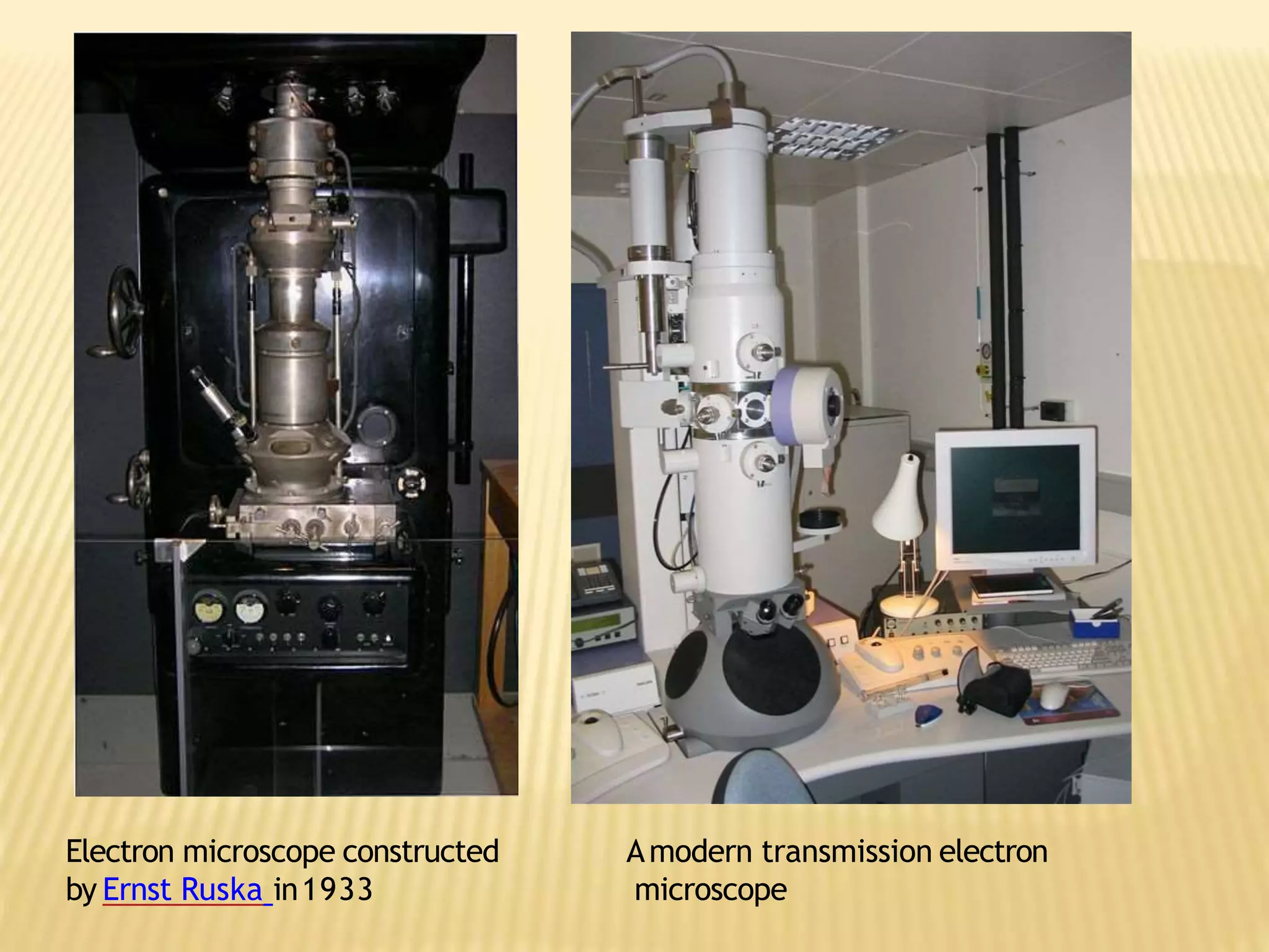 ELECTRON MICROSCOPY (TEM & SEM) | PPTX