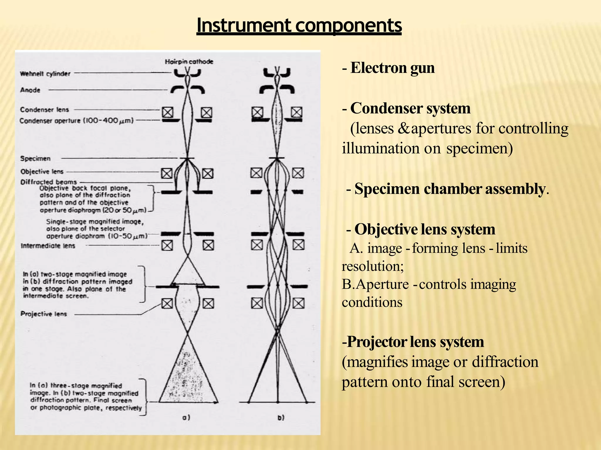 ELECTRON MICROSCOPY (TEM & SEM) | PPTX