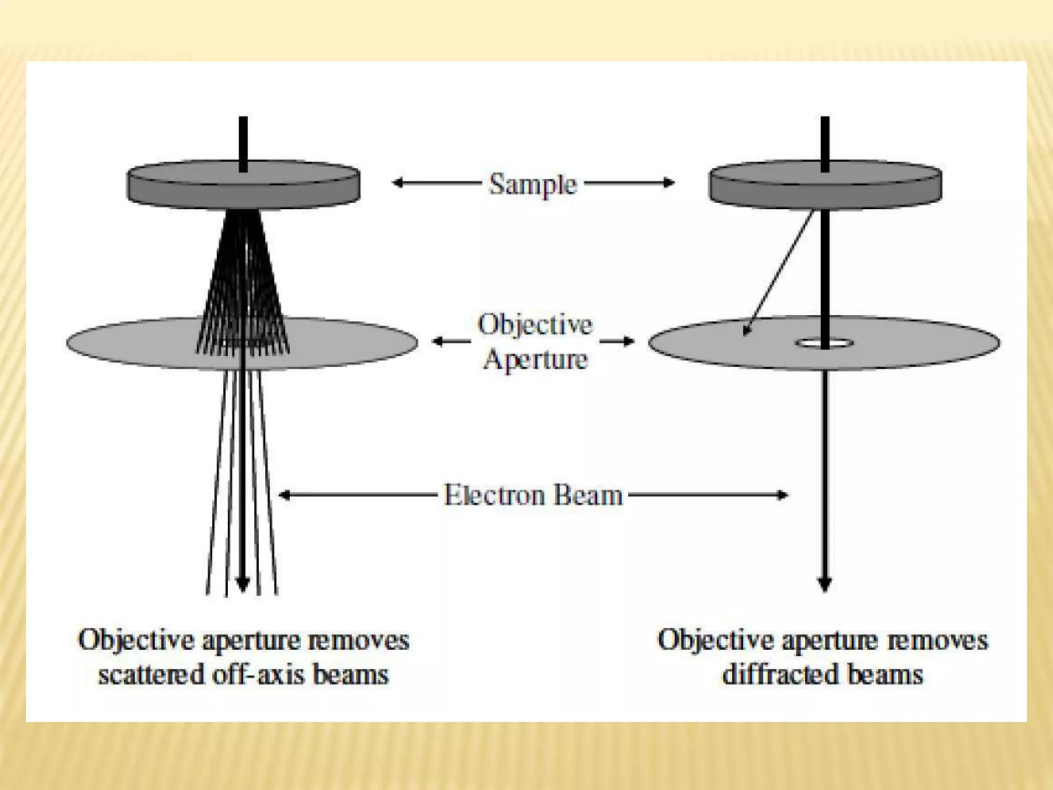 ELECTRON MICROSCOPY (TEM & SEM) | PPTX