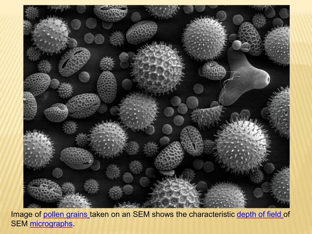 ELECTRON MICROSCOPY (TEM & SEM) | PPTX