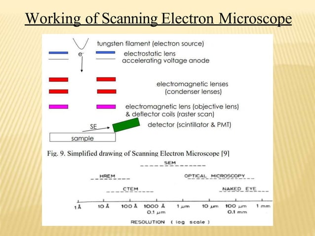 ELECTRON MICROSCOPY (TEM & SEM) | PPTX