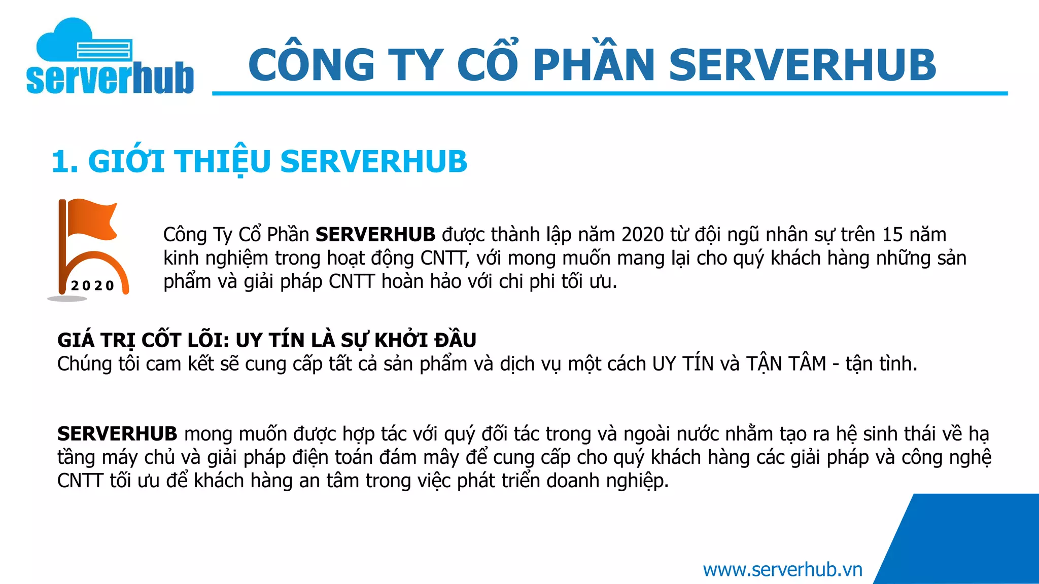 ServerHub Profile 2020 | PDF