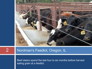 Employee Beef Training | PPTX