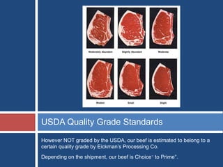 Employee Beef Training | PPTX