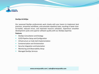 Server Pundits: Server Management Company India | PPTX