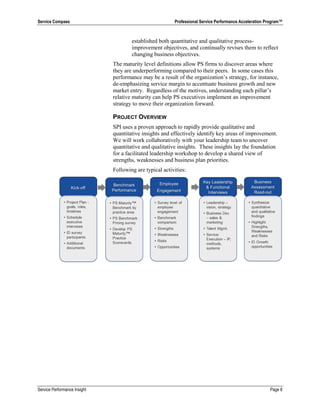 Professional Service Performance Acceleration | PDF