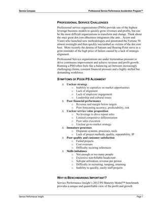 Professional Service Performance Acceleration | PDF