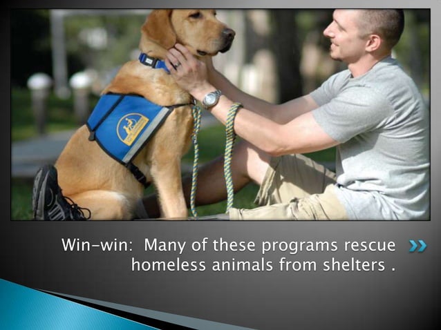 Service Animals | PPT