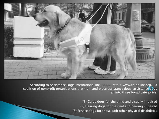Service Animals | PPT