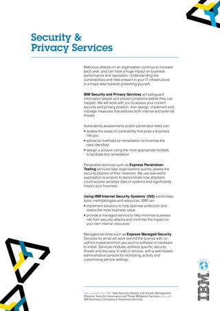 IBM Service Brochure | PDF