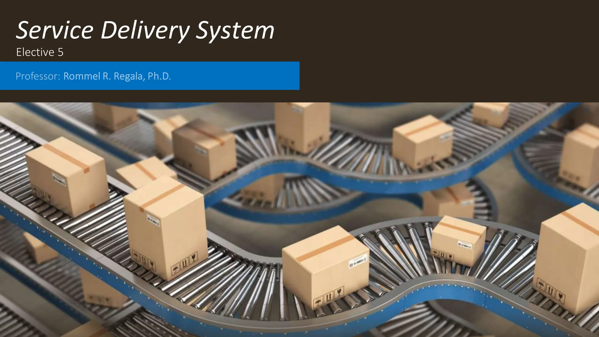 Public Administration: Service Delivery System | PDF