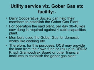 SD in dairy cooperative | PPT | Agriculture | Industries