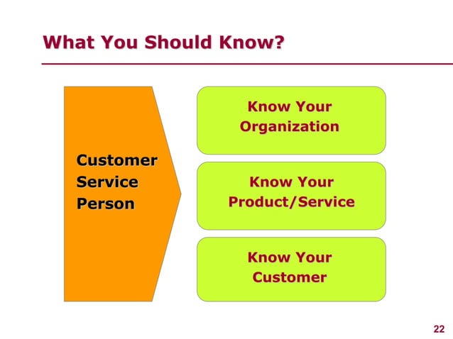 Service excellence ppt slides | PPTX