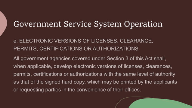 Service Government.pptx