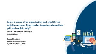 Service marketing - Market Targeting Alternatives Grid | PPT