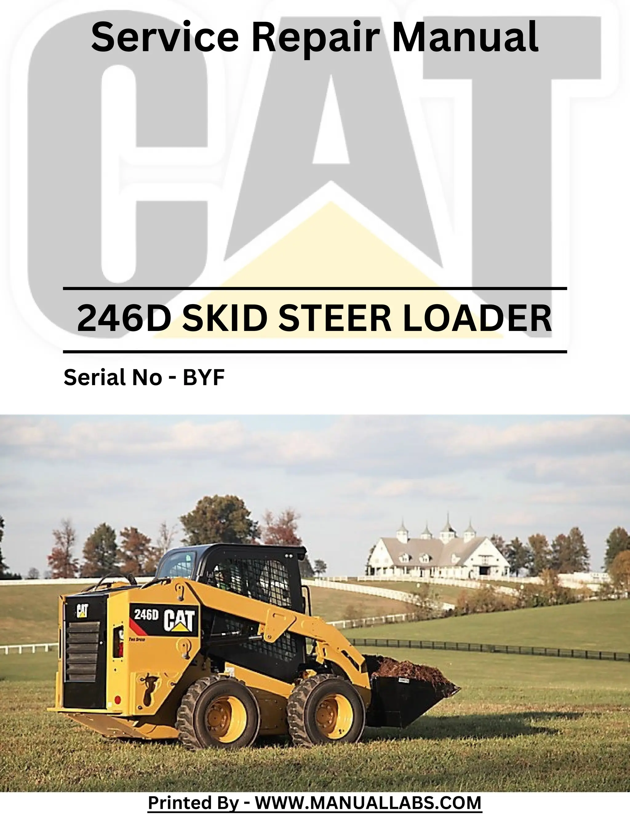 246D CATERPILLAR SKID STEER LOADER SERVICE REPAIR MANUAL BYF - PDF FILE ...