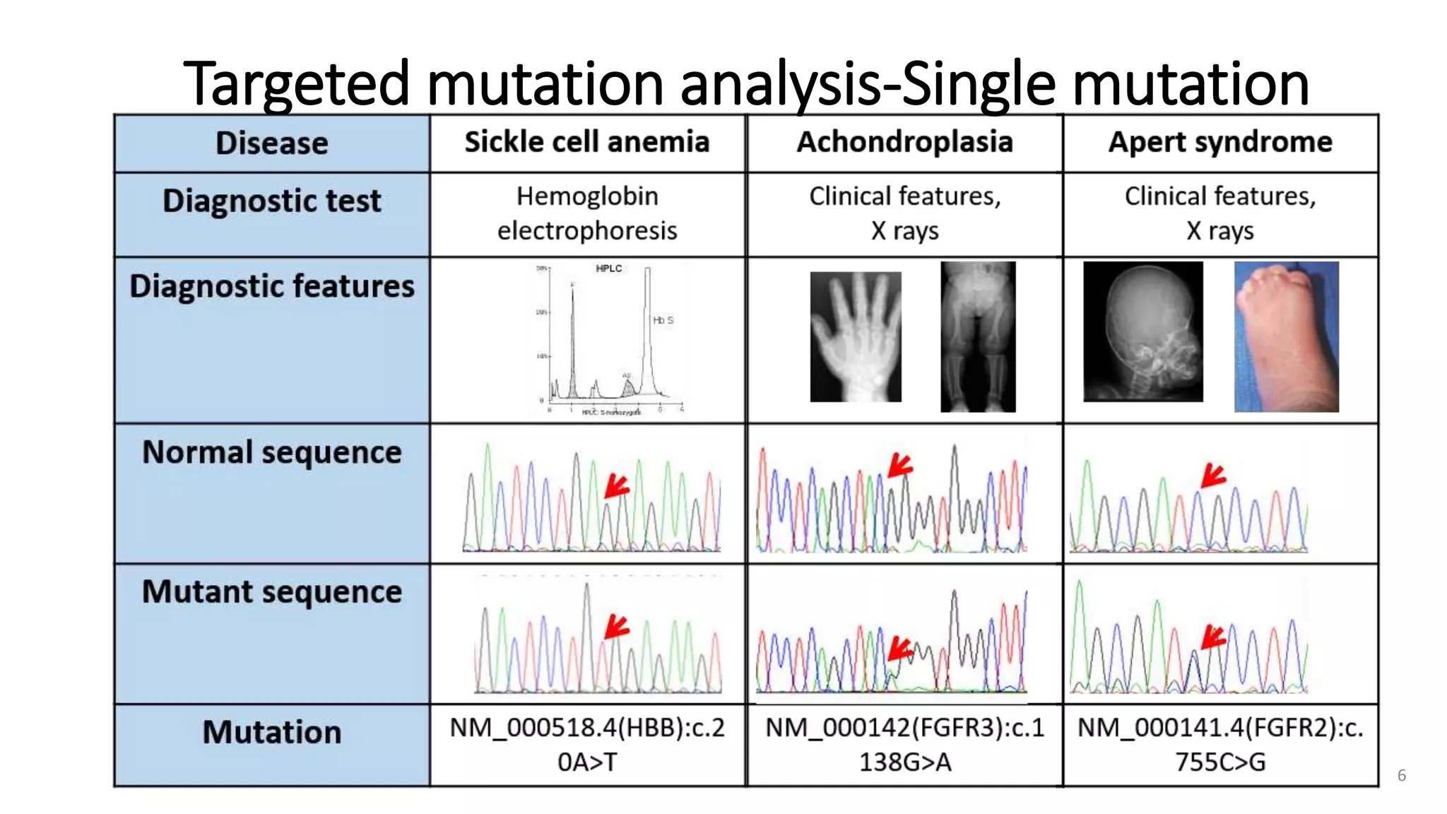 Services related to Genetics _ Genetic Testing.pptx