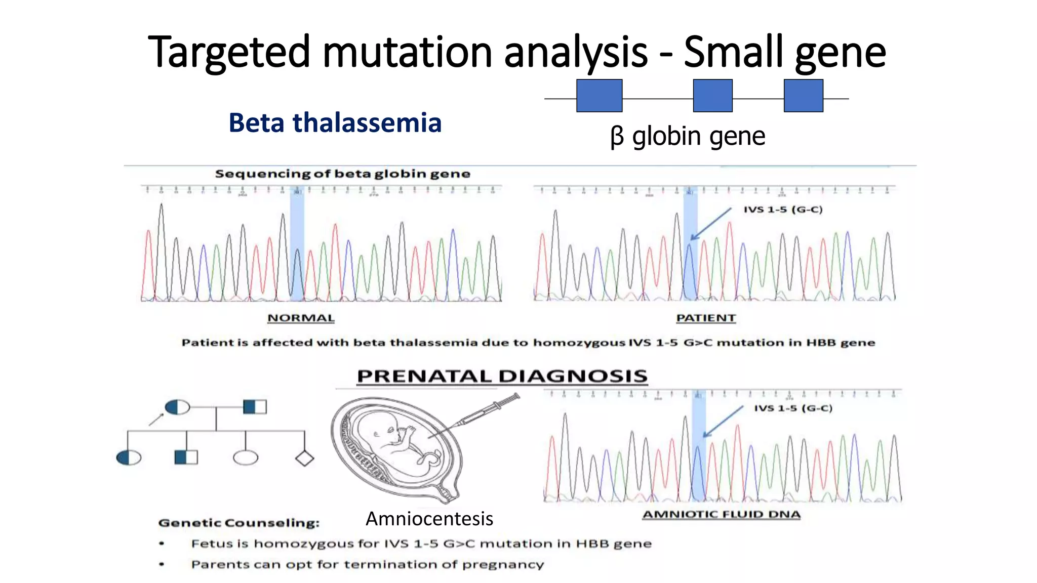 Services related to Genetics _ Genetic Testing.pptx