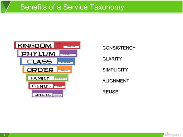 What is a Service Taxonomy and Why Do I Need One? | PPTX
