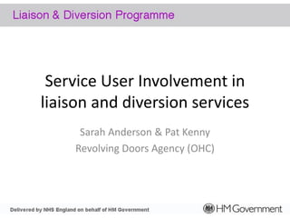 Service user engagement | PDF