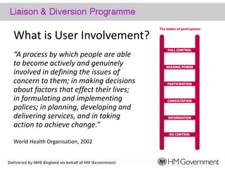 Service user engagement | PDF