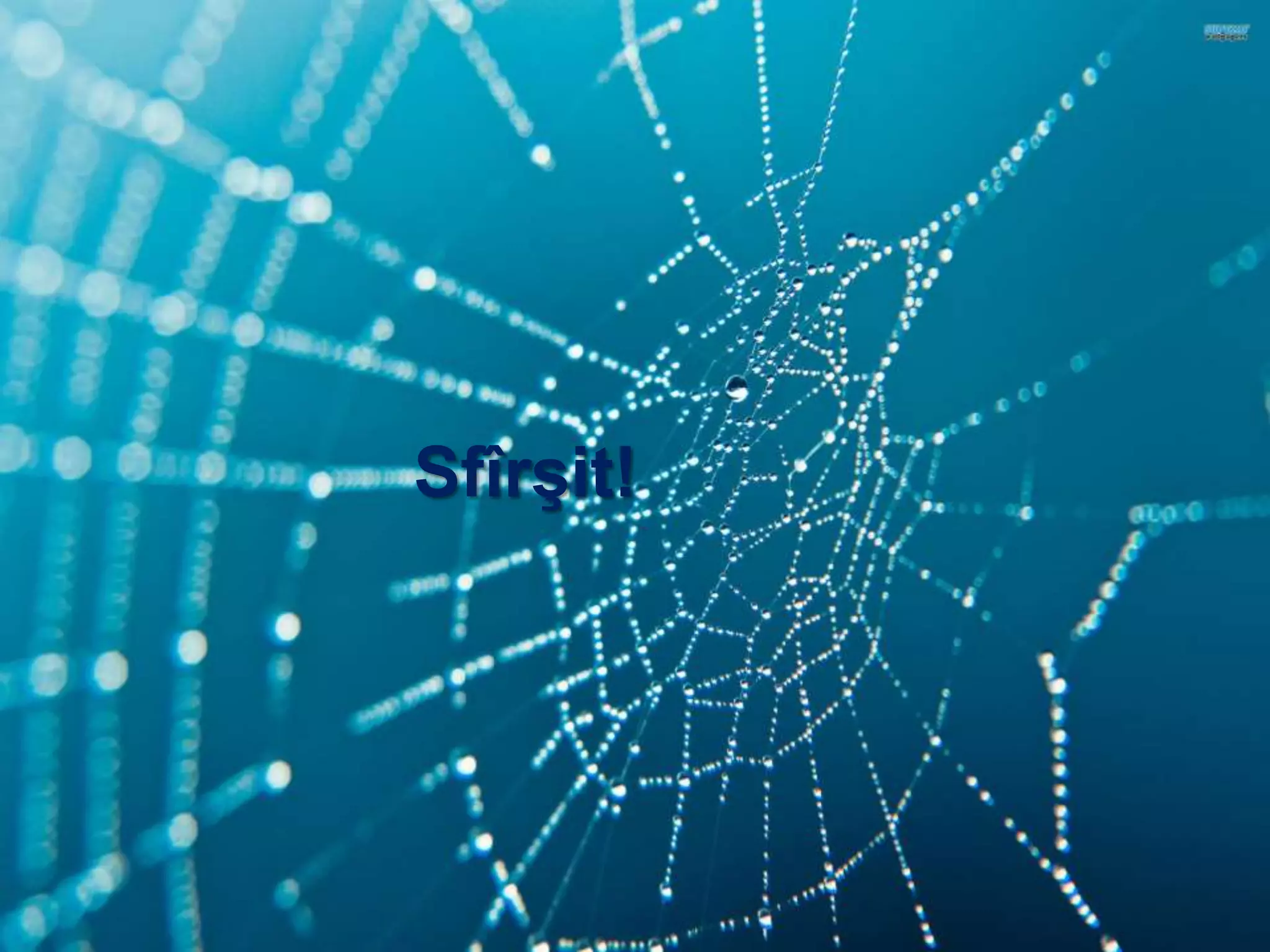 Servicii internet | PPTX