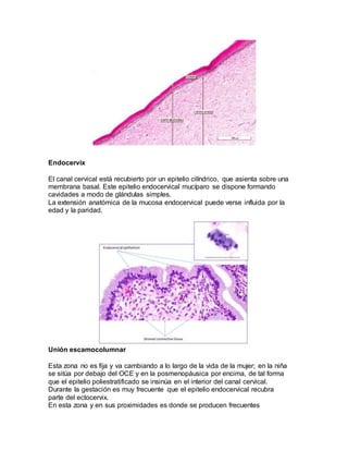 Servicio de-obstetricia-y-ginecología | DOCX