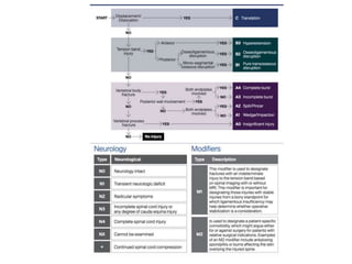 servikal vertebra yaralanmaları. ve tedavipptx | PPT