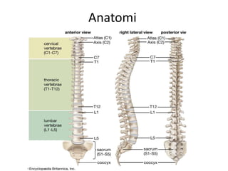 servikal vertebra yaralanmaları. ve tedavipptx | PPT