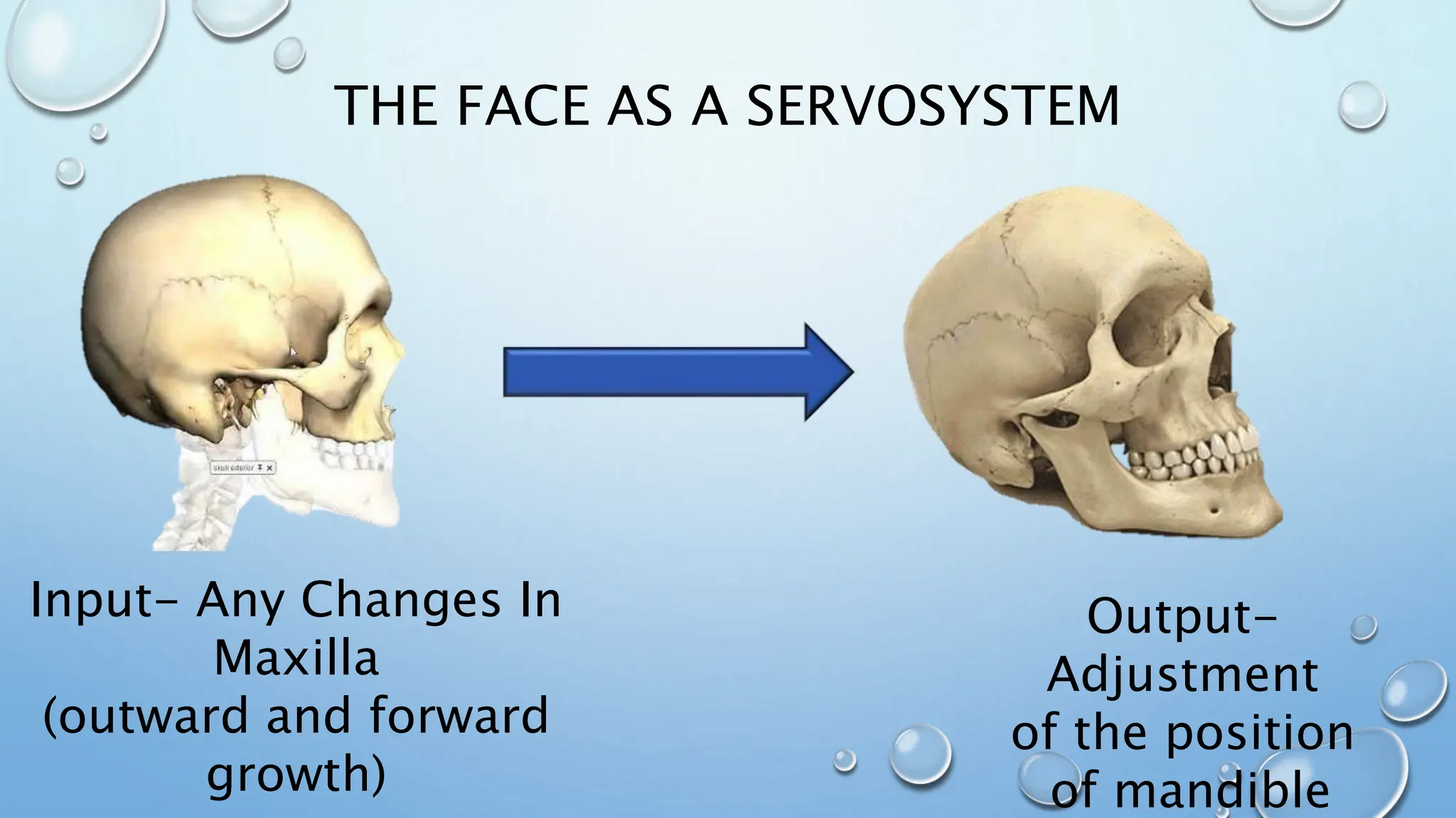 Servosystem Theory / Cybernetic Theory by Petrovic | PPTX