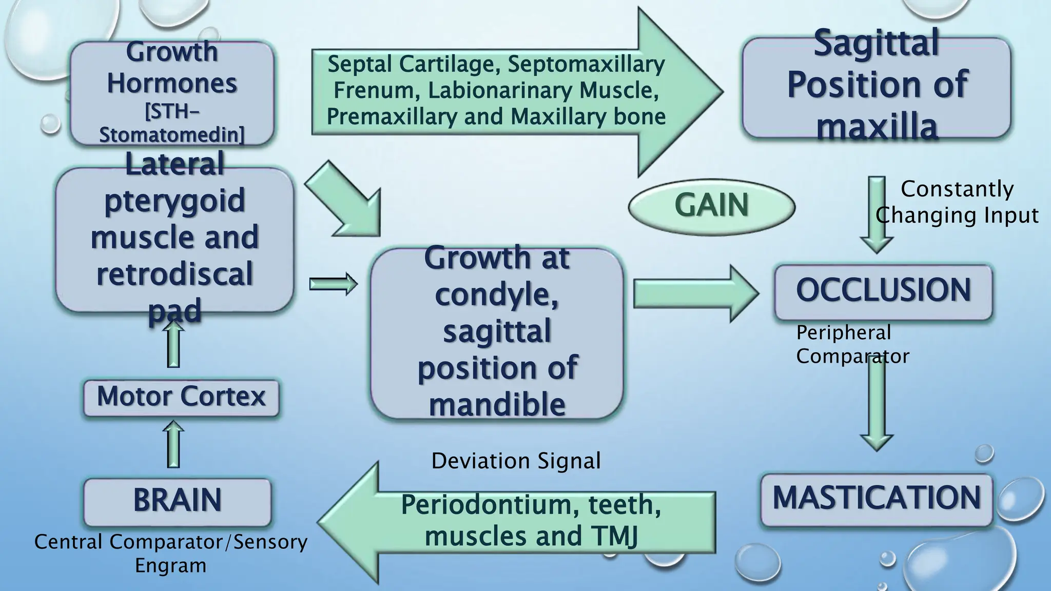 Servosystem Theory / Cybernetic Theory by Petrovic | PPTX