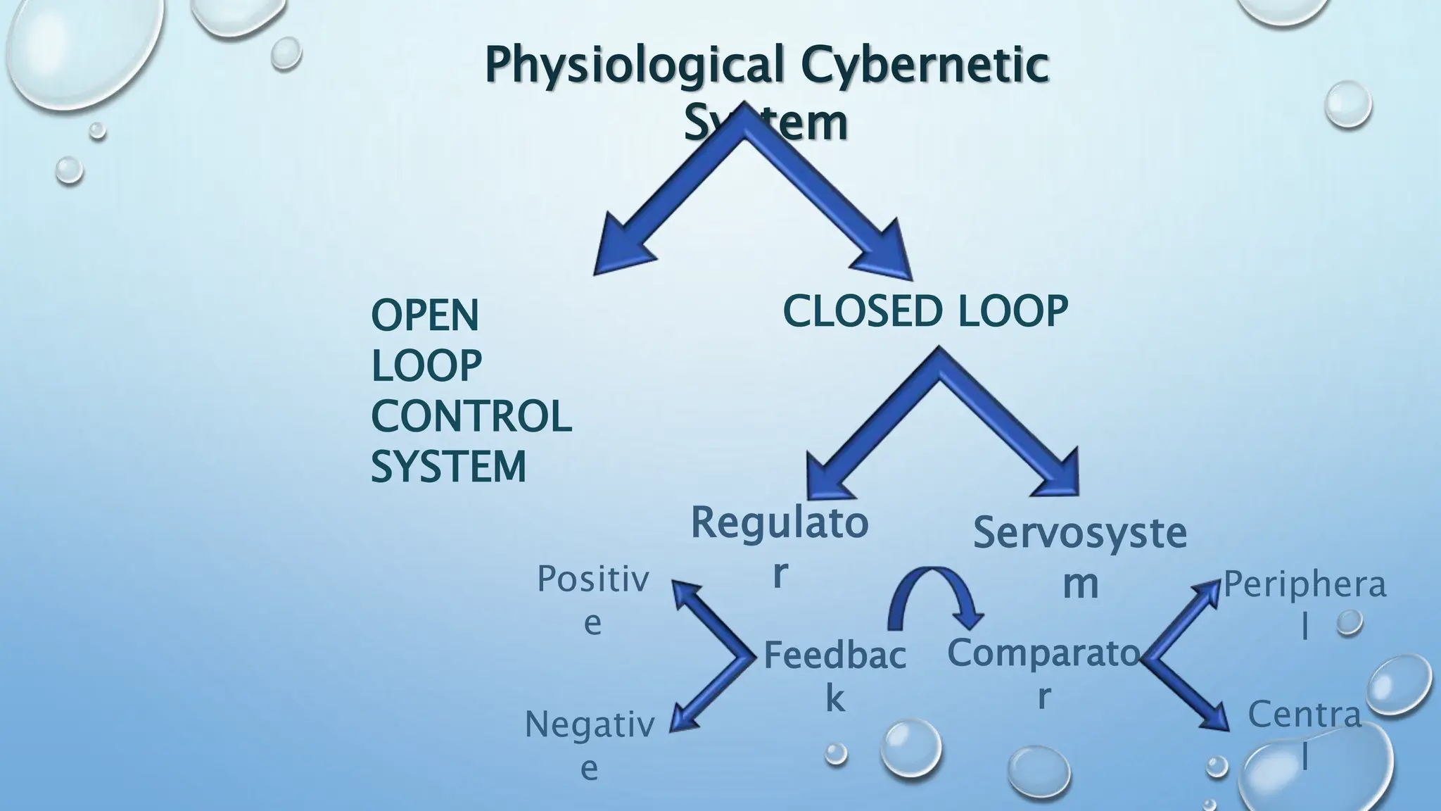 Servosystem Theory / Cybernetic Theory by Petrovic | PPTX