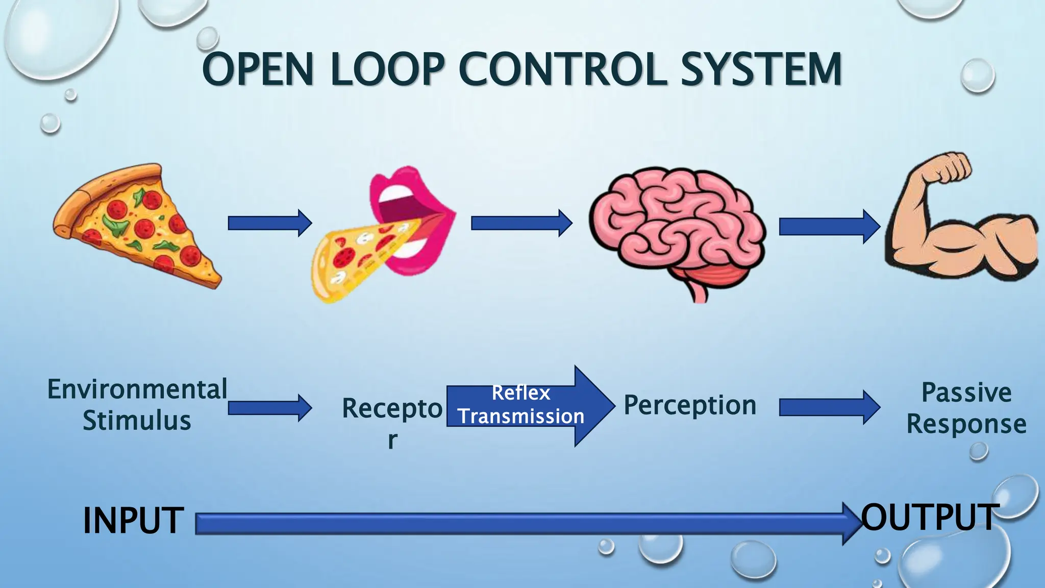 Servosystem Theory / Cybernetic Theory by Petrovic | PPTX