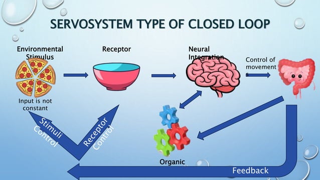 Servosystem Theory / Cybernetic Theory by Petrovic | PPTX