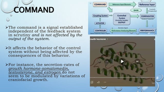 Servosystem Theory / Cybernetic Theory by Petrovic | PPTX