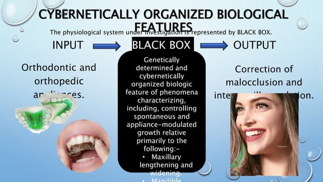 Servosystem Theory / Cybernetic Theory by Petrovic | PPTX