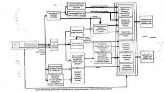Servosystem Theory / Cybernetic Theory by Petrovic | PPTX
