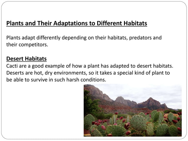 Plant adaptions in adverse soil water conditions | PPTX | Gardening ...
