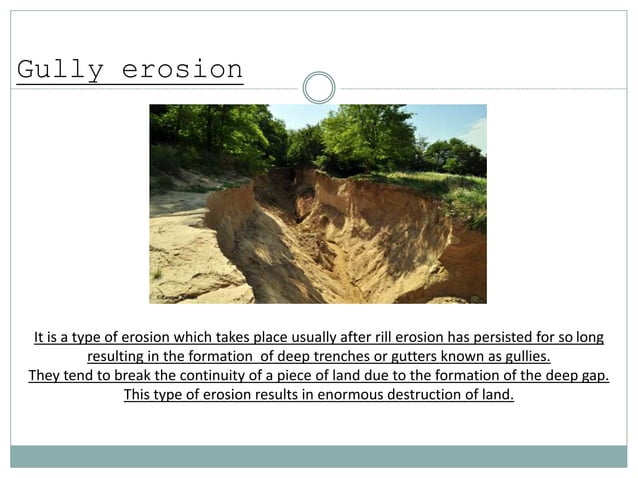 Management and control of gully erosion ppt | PPTX | Landscaping | Home ...