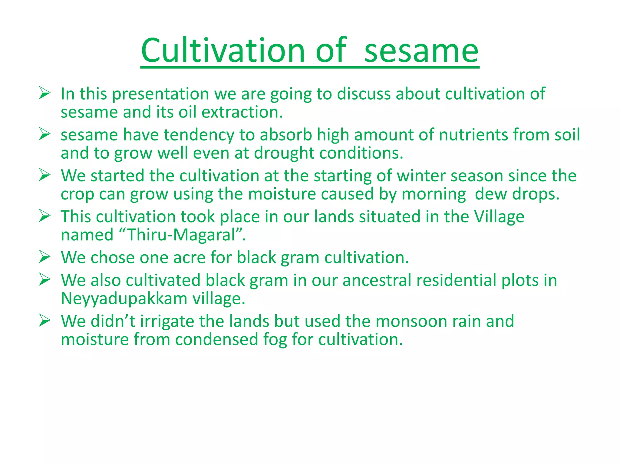 Sesame | PPT