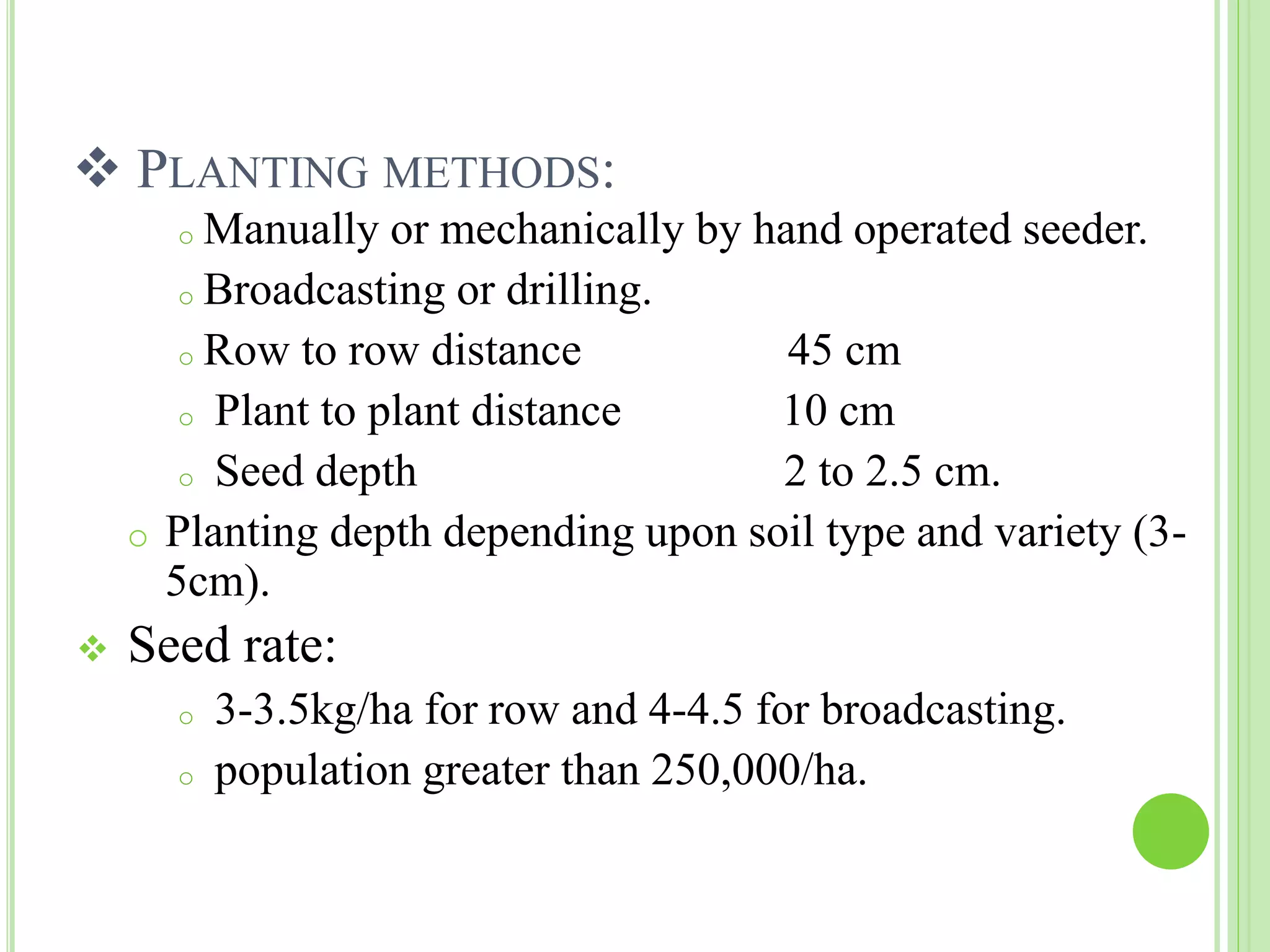 Production Technology of Sesame | PPTX